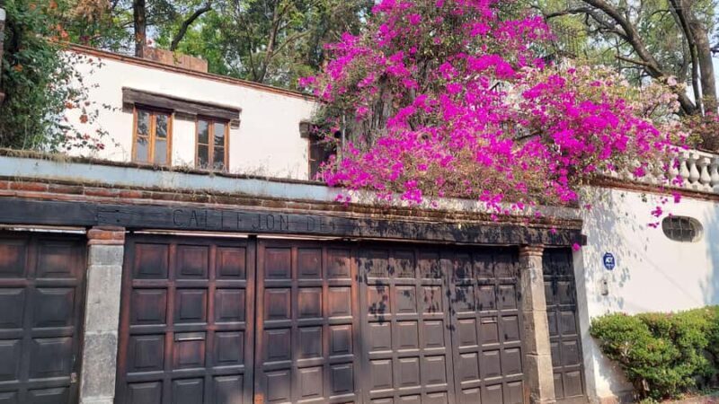 Coyoacán: A Tour of Coyoacán's Cinema, Arts, and Culture - Final Stop: Parque Santa Catarina