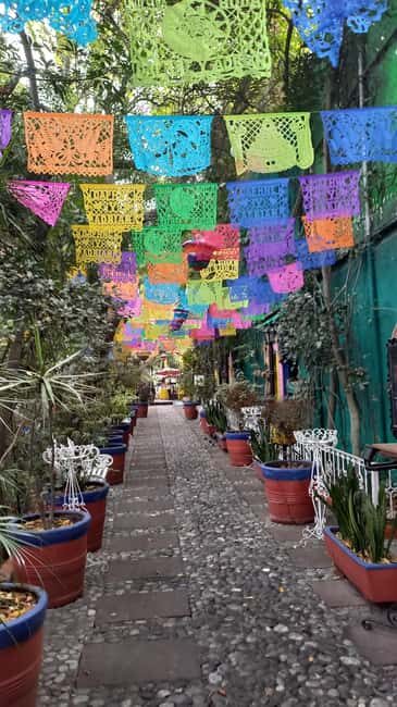 Coyoacan, history and life in a magical neighborhood - Authentic and Well-Reviewed