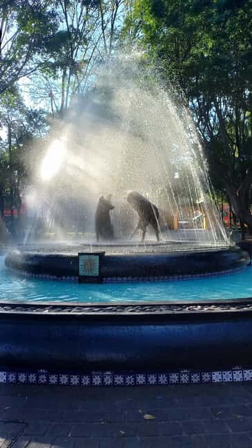 Coyoacan, history and life in a magical neighborhood - FAQs