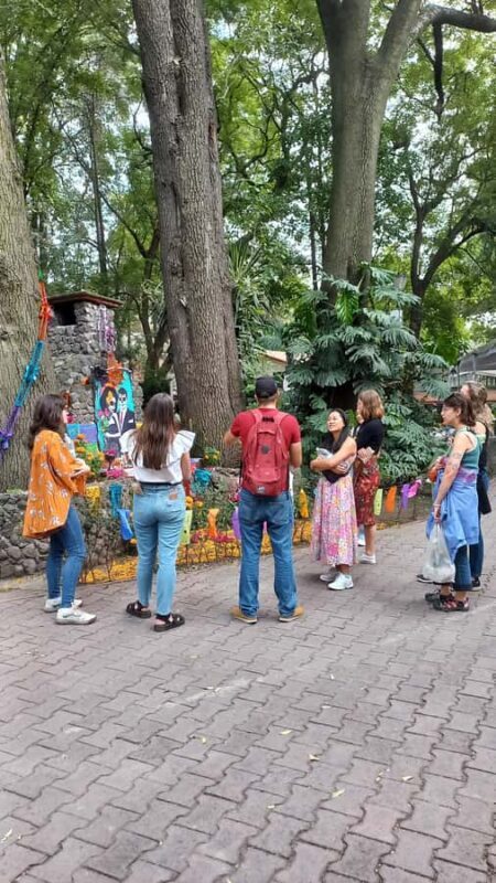 Coyoacán: History and Life of a Magical Neighborhood - Introduction
