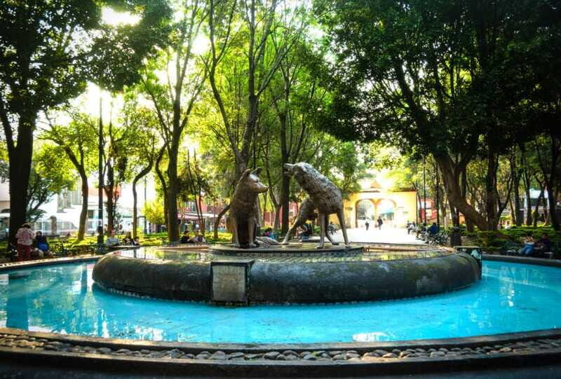 Coyoacán & Xochimilco: Discover an oasis in Mexico City - FAQ