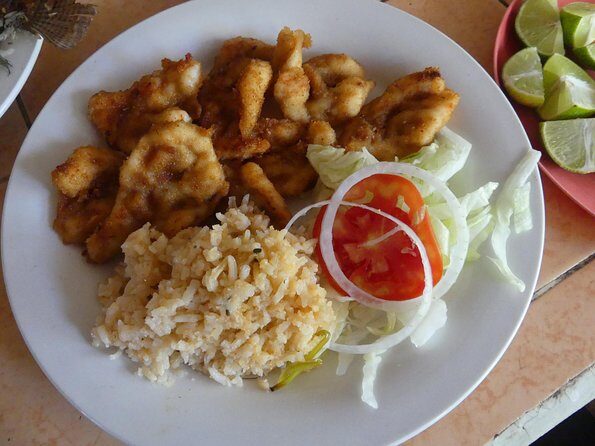 Coyuca Lagoon Countryside Baby Turtle Release Lunch & Boat Ride - Frequently Asked Questions (FAQs)