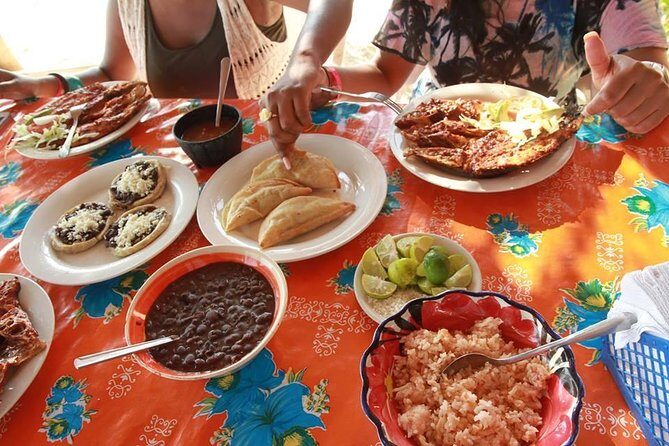 Coyuca Lagoon Countryside Baby Turtle Release Lunch & Boat Ride - Wrapping Up: Who Will Love This Tour?