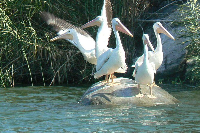 Coyuca Lagoon From Acapulco - What to Expect from the Coyuca Lagoon Tour