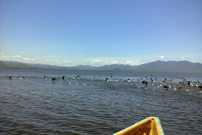 Coyuca Lagoon Tour in Acapulco - The Sum Up
