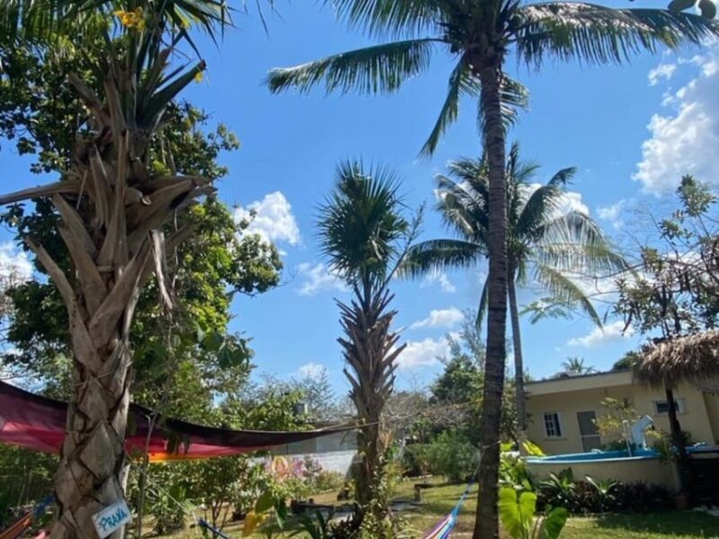 Cozumel: 10 Day 200-Hour Yoga Teacher Training - Who Should Consider This?