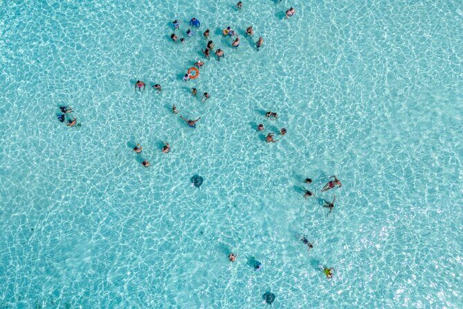 Cozumel 3 Reefs Snorkel - Authentic Experiences and Traveler Insights