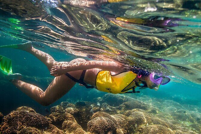 Cozumel 3 Reefs Snorkel - The Sum Up: Is This Tour Right for You?