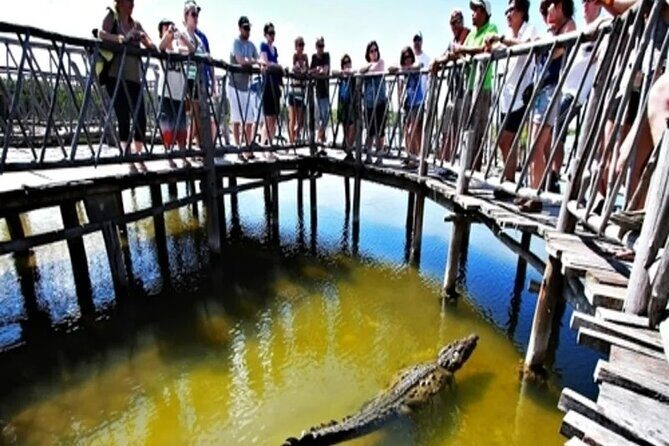 Cozumel 4x4 Adventure Punta Sur and Virgin Beach All Inclusive - Practical Details and Tips