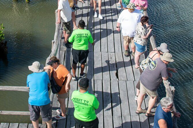 Cozumel 4x4 Adventure Punta Sur and Virgin Beach All Inclusive - The Sum Up