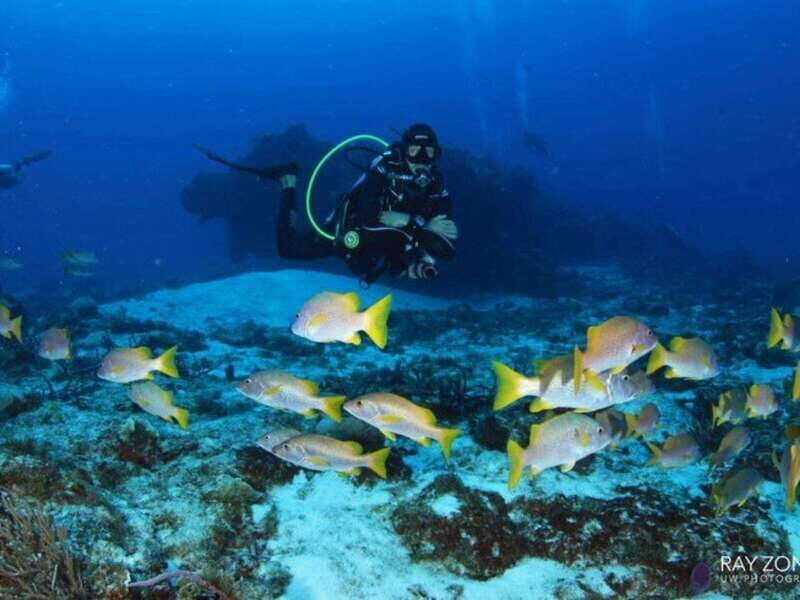 Cozumel: 6 Days Yoga, Sound Healing, and Dive Retreat - FAQs