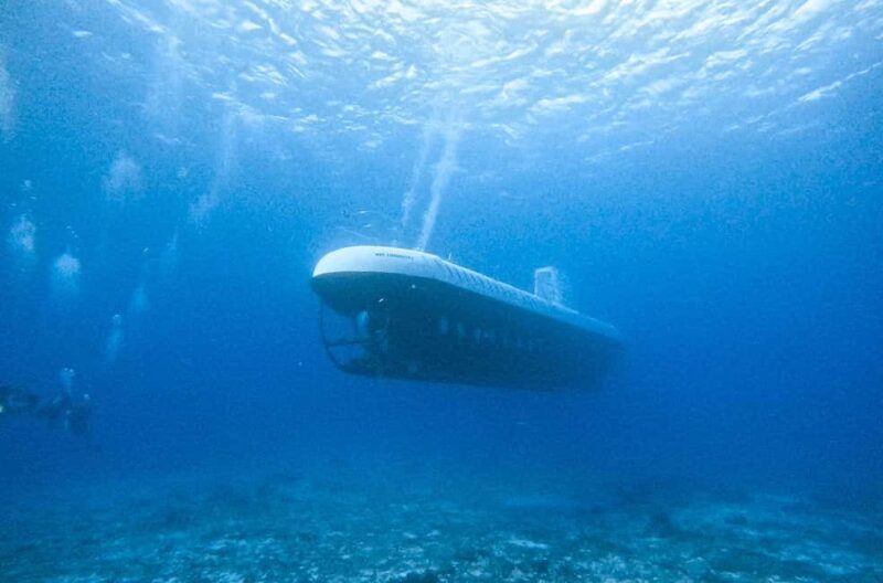 Cozumel: Atlantis Submarine Adventure - The Practicalities: What You Need to Know