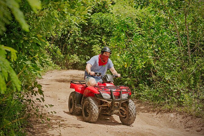 Cozumel ATV Jungle Small Group Guided Ride - Authenticity and Comfort