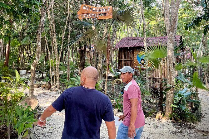 Cozumel: Bee Farm + Honey & Chocolate Tasting + Sightseeing - Why This Tour Stands Out