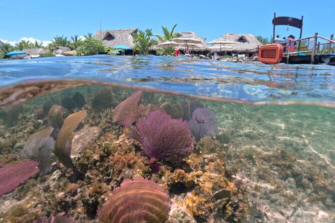 Cozumel Buggy Tour - The Sum Up