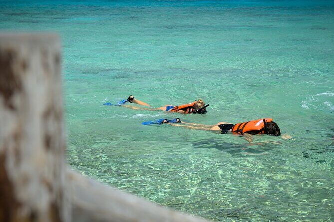 Cozumel Buggy Tour - FAQs