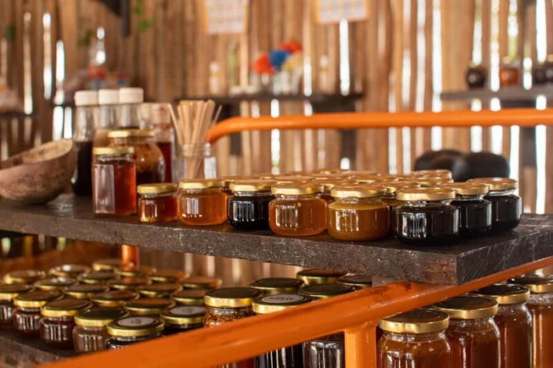 Cozumel Buggy Tour, Otoch Mayan Experience & Clear Boat - Key Points