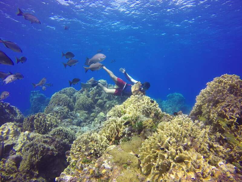 Cozumel: Catamaran, El Cielo Bay & Palancar Reef with Lunch - Who Is This Tour Best For?
