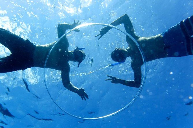 Cozumel Catamaran Snorkeling Tour & lunch® - Why This Tour Gets Noticed