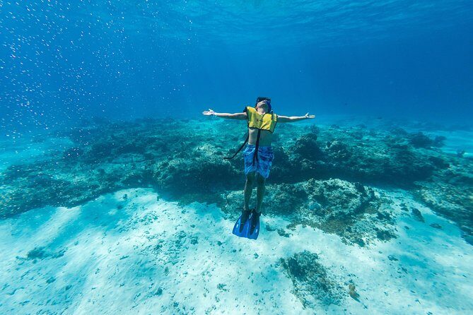 Cozumel Catamaran Snorkeling Tour & lunch® - El Cielo and the Starfish Sanctuary