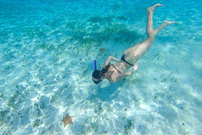 Cozumel Catamaran Snorkeling Tour & lunch® - The Beachside Buffet & Playa Mia