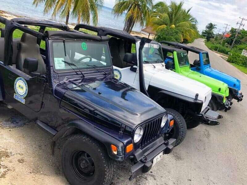 Cozumel: Classic Jeep or Buggy Island Tour to Punta Sur - The Sum Up