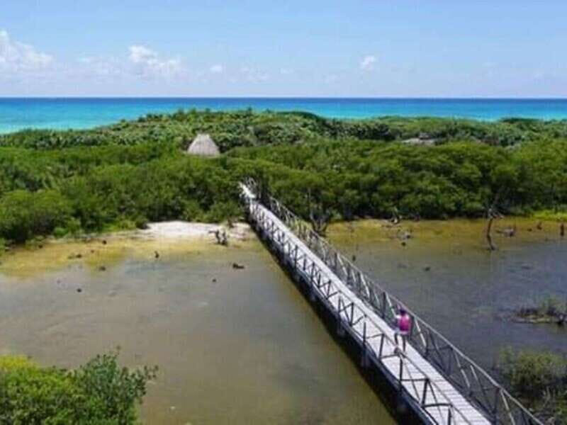 Cozumel: Classic Jeep or Buggy Island Tour to Punta Sur - FAQ