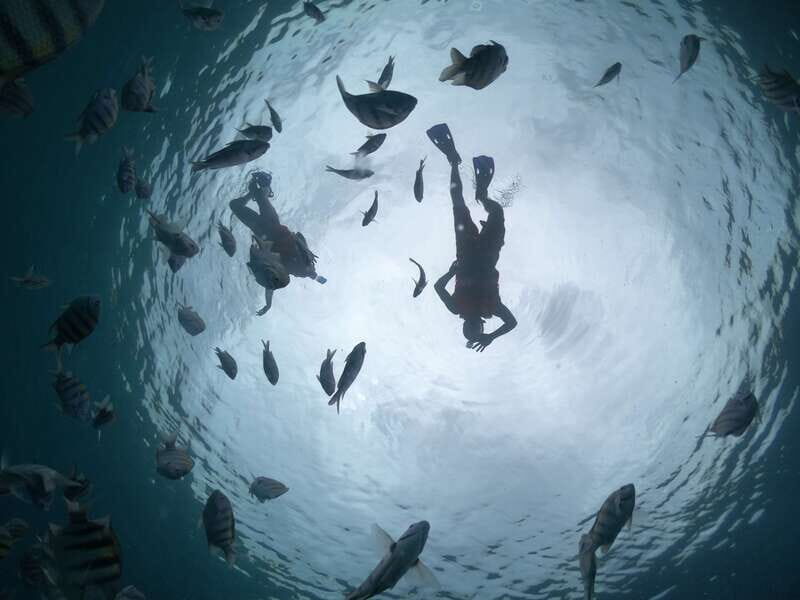 Cozumel: Clear Boat Ride and Snorkeling Trip - Practical Details and Tips