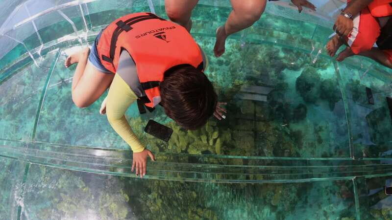 Cozumel: Clear Boat & Snorkel Tour - What Tour Participants Say