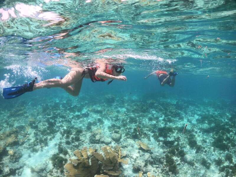 Cozumel: Clear Boat & Snorkel Tour - The Value of This Experience