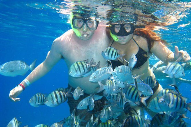 Cozumel Coral Reef Snorkeling by Glass Bottom Boat with Guide - Final Thoughts: Is It Worth It?