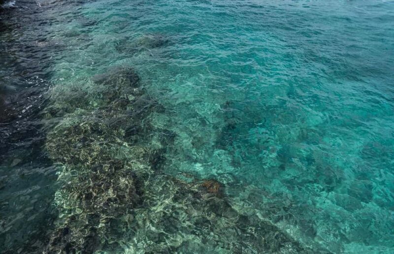 Cozumel: Day at El Cielo Bay - The Practical Side — What You Need to Know