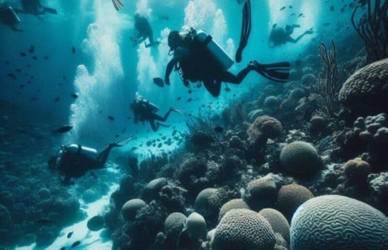 Cozumel: Discovery Scuba Diving. No experience required. - Why This Experience Is Worth Considering