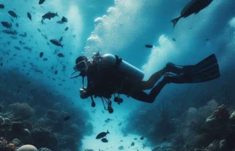 Cozumel: Discovery Scuba Diving. No experience required. - FAQ