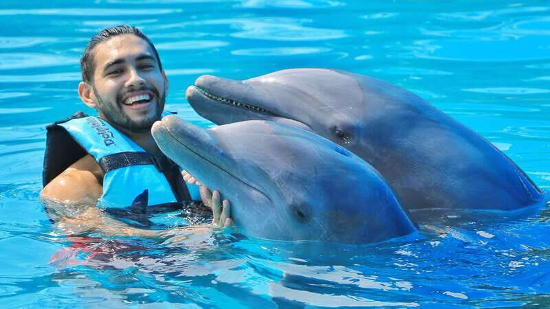 Cozumel: Dolphin Royal Swim and Manatee Interaction - A Close Look at the Tour Experience