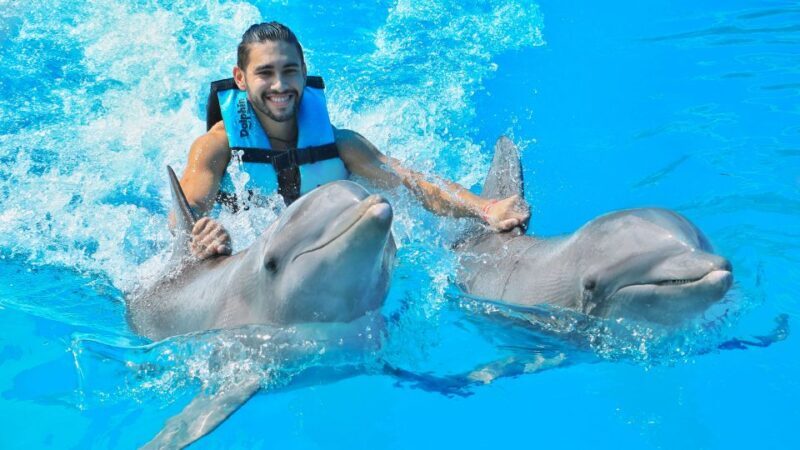 Cozumel: Dolphin Royal Swim and Manatee Interaction - FAQ