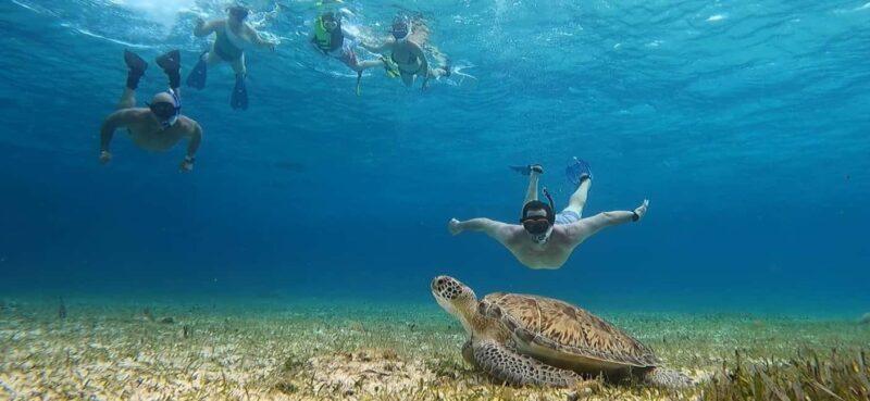 Cozumel, El Cielo: 4-Hour Shared Snorkeling Tour - A Practical Look at What You’re Signing Up For