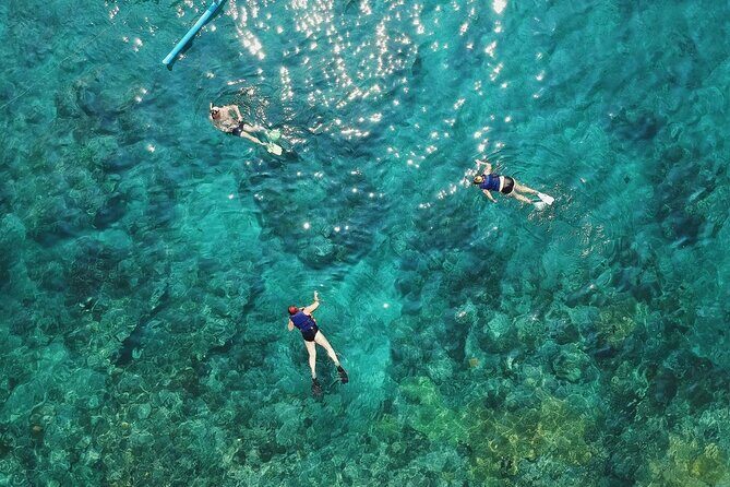 Cozumel El Cielo All Inclusive Tour from Cancun - Authentic Experiences from Travelers