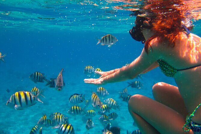 Cozumel El Cielo All Inclusive Tour from Cancun - The Sum Up