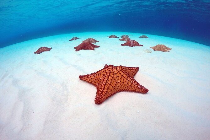 Cozumel El Cielo All Inclusive Tour from Cancun - FAQ