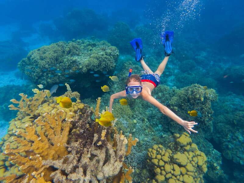 Cozumel: El Cielo, Palancar Reef, and Beach Party with Food - Introduction