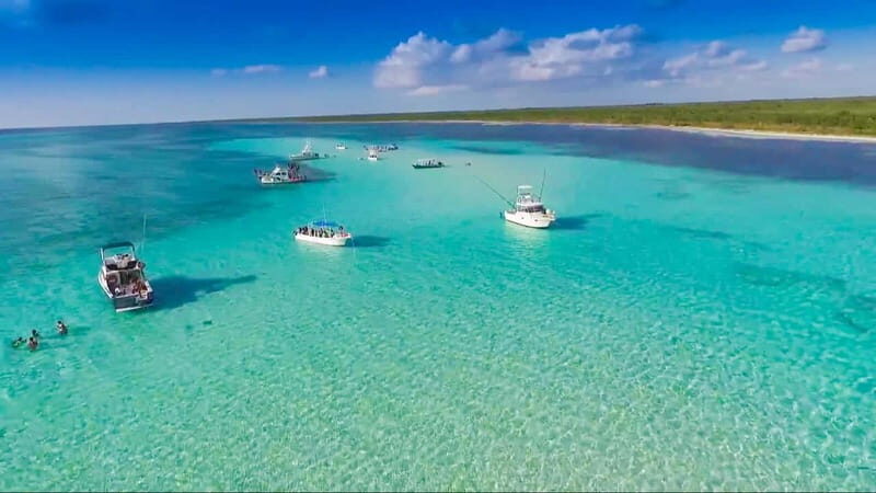 Cozumel: El Cielo & Palancar Snorkel with Open Bar & Ceviche - The Authentic Experience