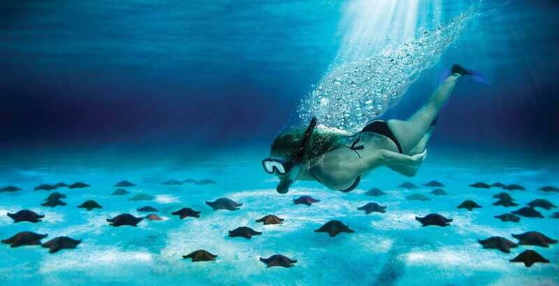 Cozumel: El Cielo & Palancar Snorkel with Open Bar & Ceviche - Who It’s Best For