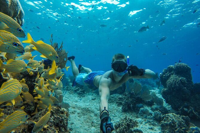 Cozumel El Cielo Sandbar and Reef Snorkeling Private Adventure - Who Is This Tour Best For?