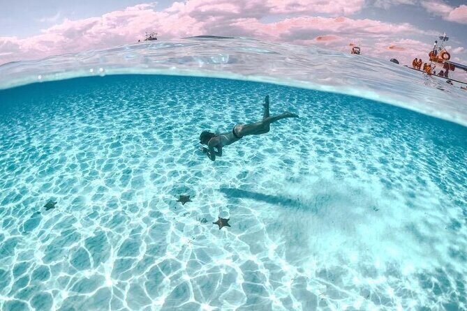 Cozumel El Cielo Sandbar and Reef Snorkeling Private Adventure - The Sum Up