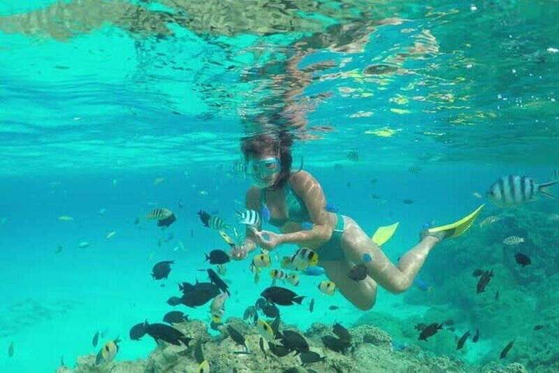 Cozumel El Cielo Sandbar and Reef Snorkeling Tour - Starting Point and Logistics