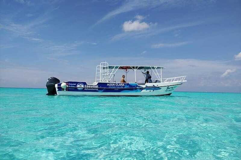 Cozumel El Cielo Sandbar and Reef Snorkeling Tour - Food and Drinks