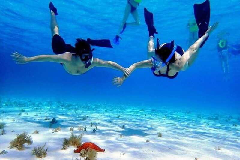 Cozumel El Cielo Sandbar and Reef Snorkeling Tour - Who Will Love This Tour?