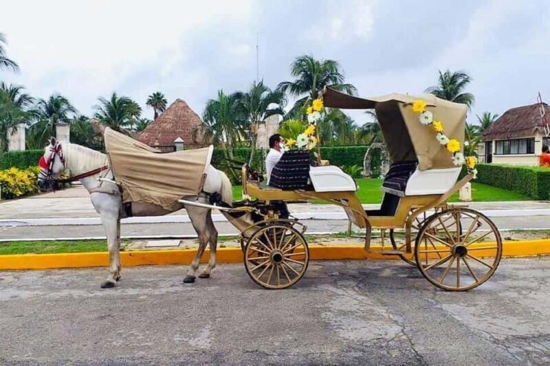 Cozumel: Electric Carriage Tour - Key Points