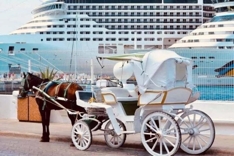 Cozumel: Electric Carriage Tour - What You Can Expect from the Experience